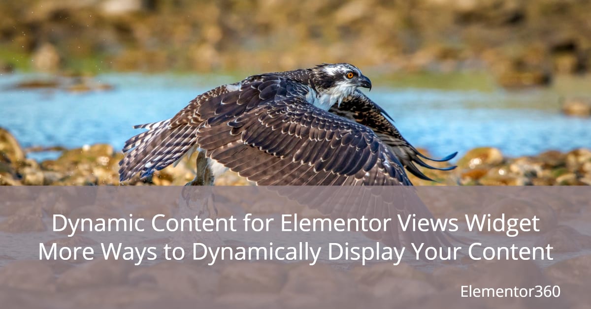 Dynamic Content For Elementor Views Widget More Ways To Dynamically Display Your Content